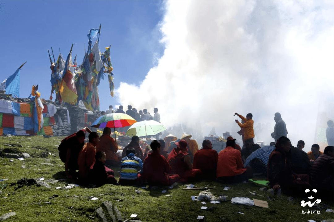 [National Culture] Ruomu New - Flower Watching Festival in Jiarong Area ...