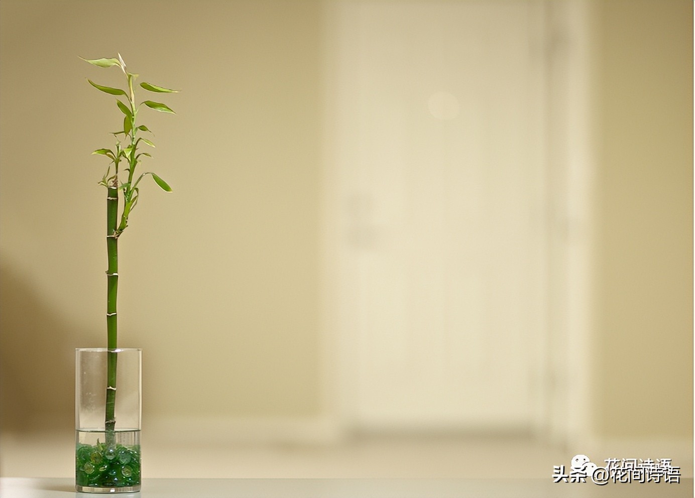 "Flowers bloom for wealth and wealth, and bamboos bring peace." How ...