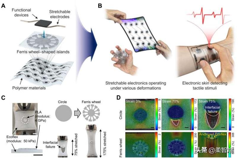 Stretchable electronic transistor array structures capable of ...