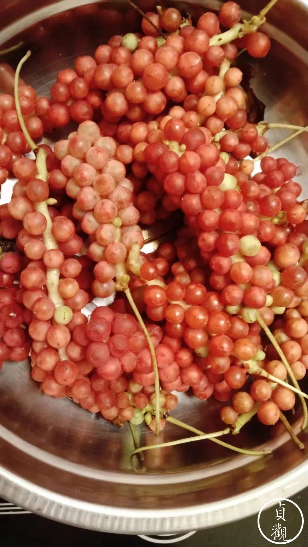 Travel guide to Xi'an: Seven kinds of wild fruits you can eat while ...