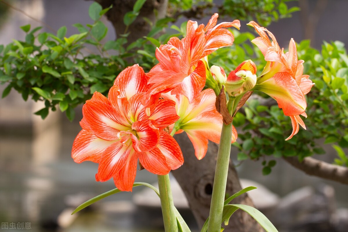 In September, the 3 constellations are overjoyed, the peach blossoms ...