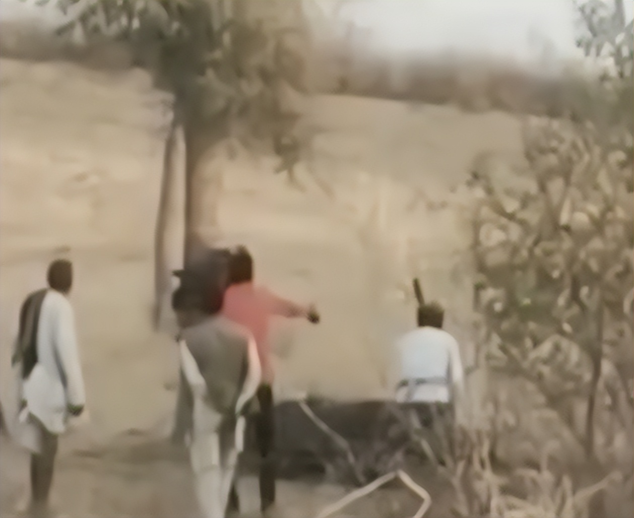 A tragedy happened in India. After the camel killed its owner, it was ...