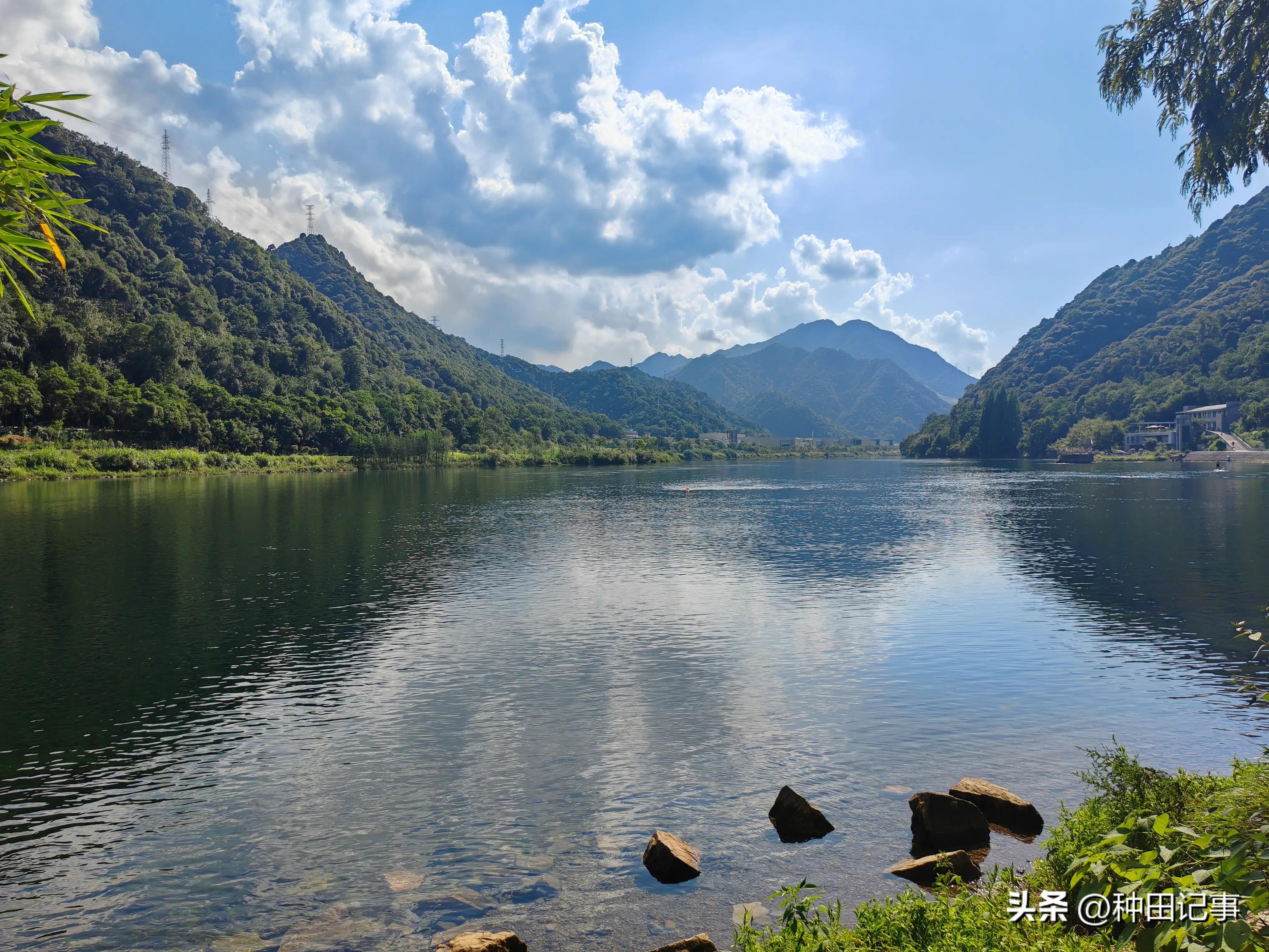 Nongfu Spring is a bit sweet - iNEWS