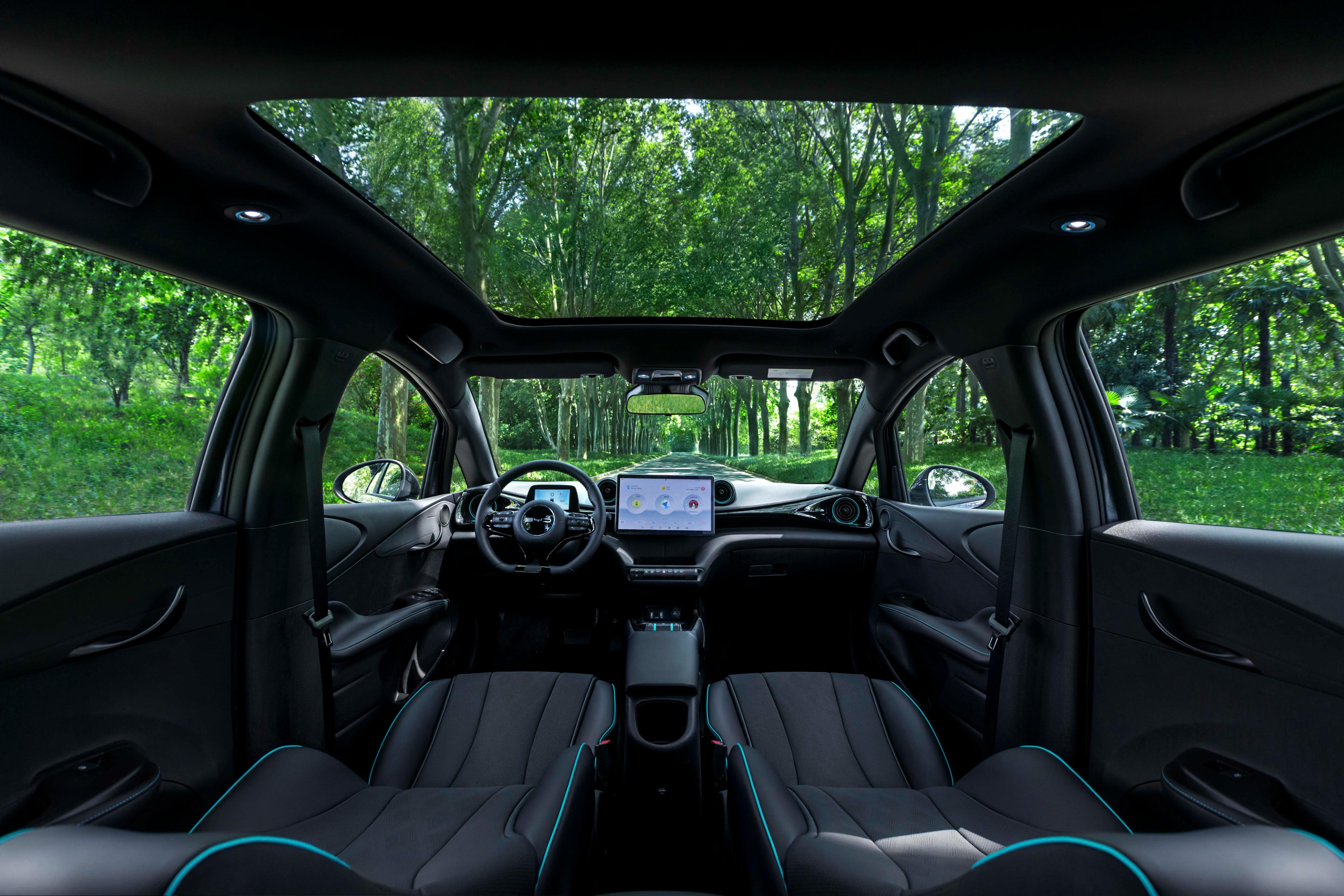 Self-driving experience sharing with babies: 23 models of Dolphin ...