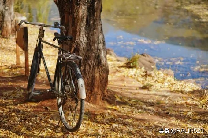 Not losing to Dali and Chengdu, these 8 comfortable cities are also ...