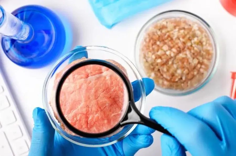 Chen Gen: "Artificial meat" born for environmental protection has a ...