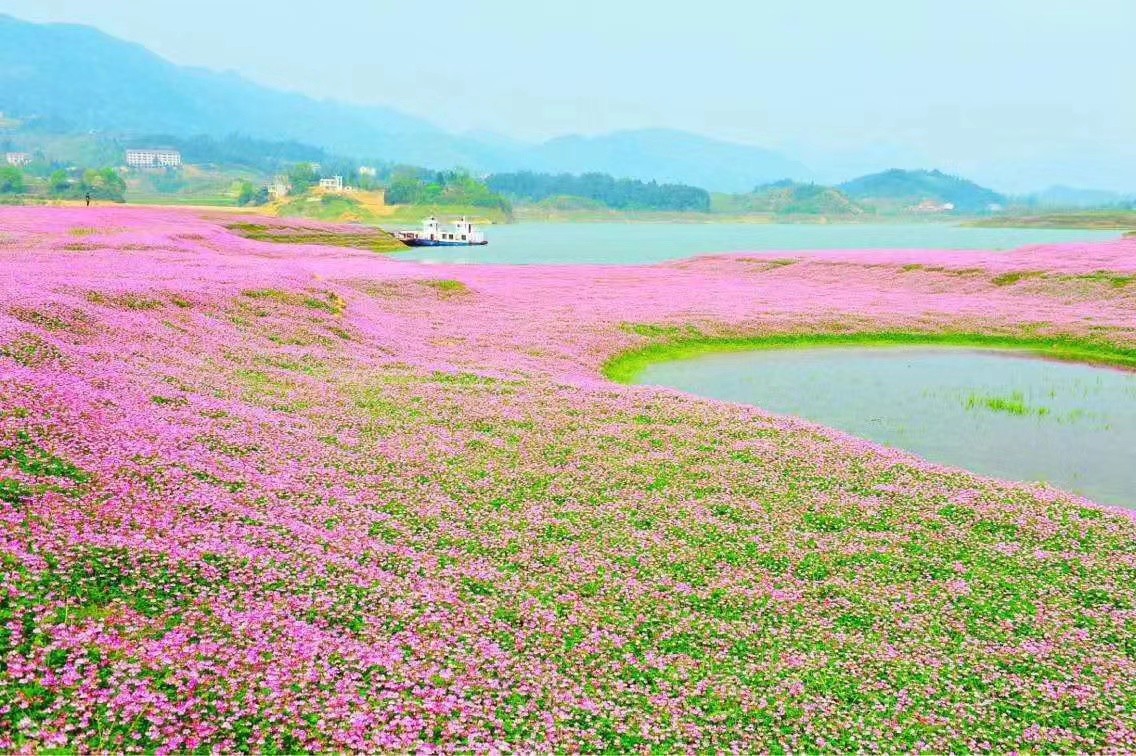 Longwan Wetland by the Zishui River - iNEWS