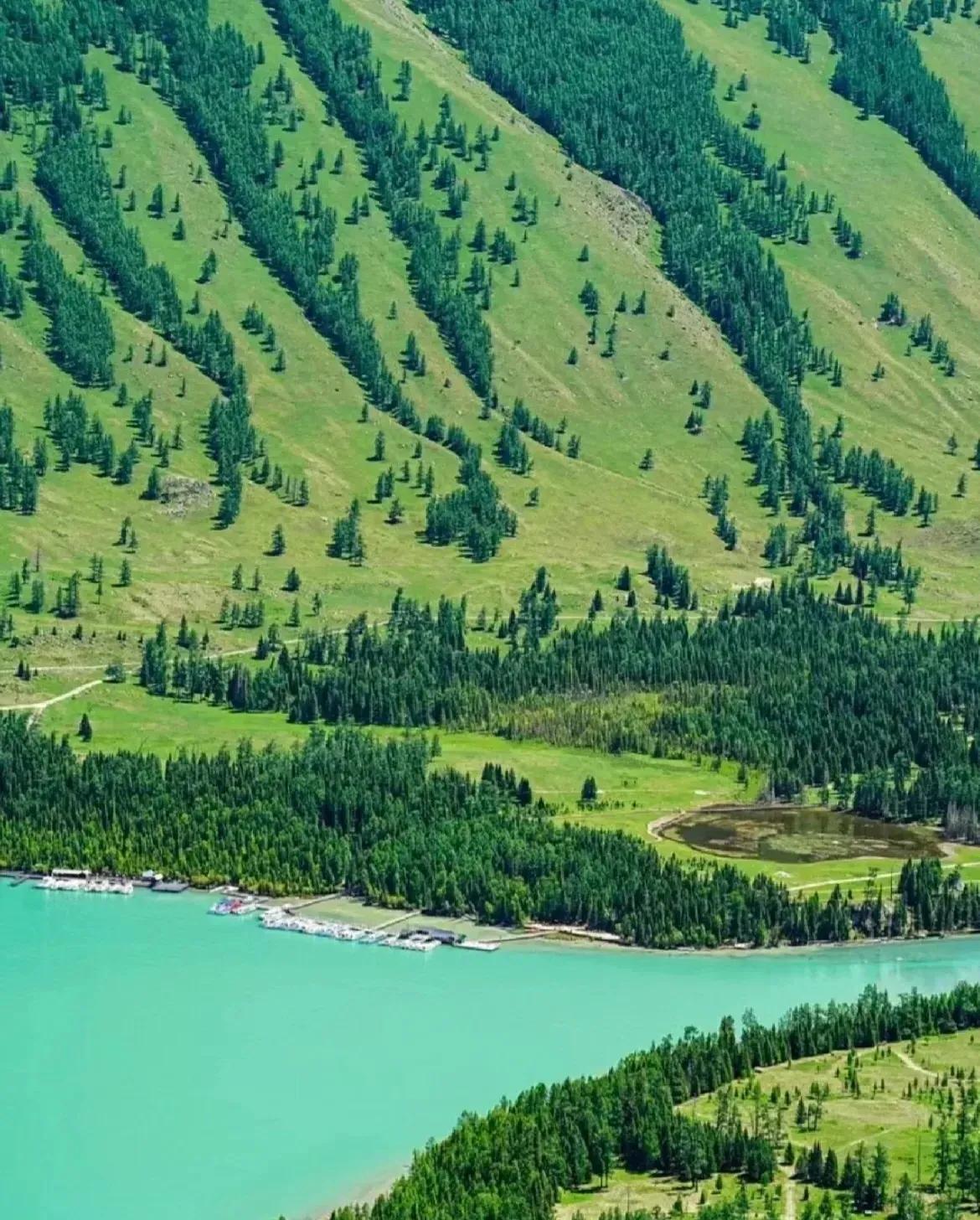 Welcome to Damei Xinjiang - iNEWS