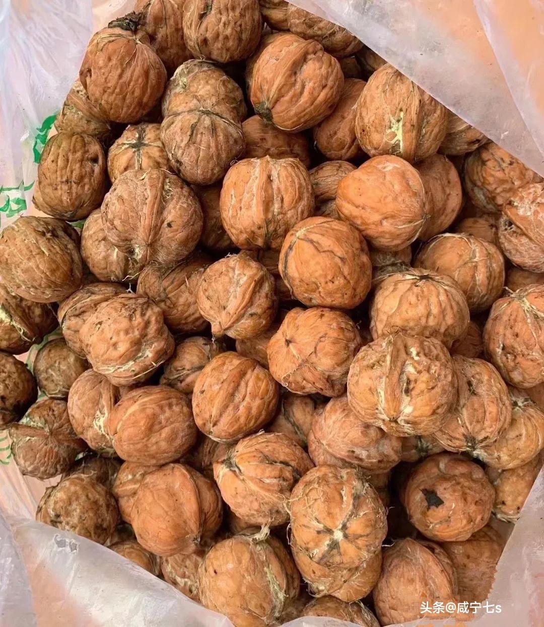 Have you eaten this year's new walnuts? - iNEWS