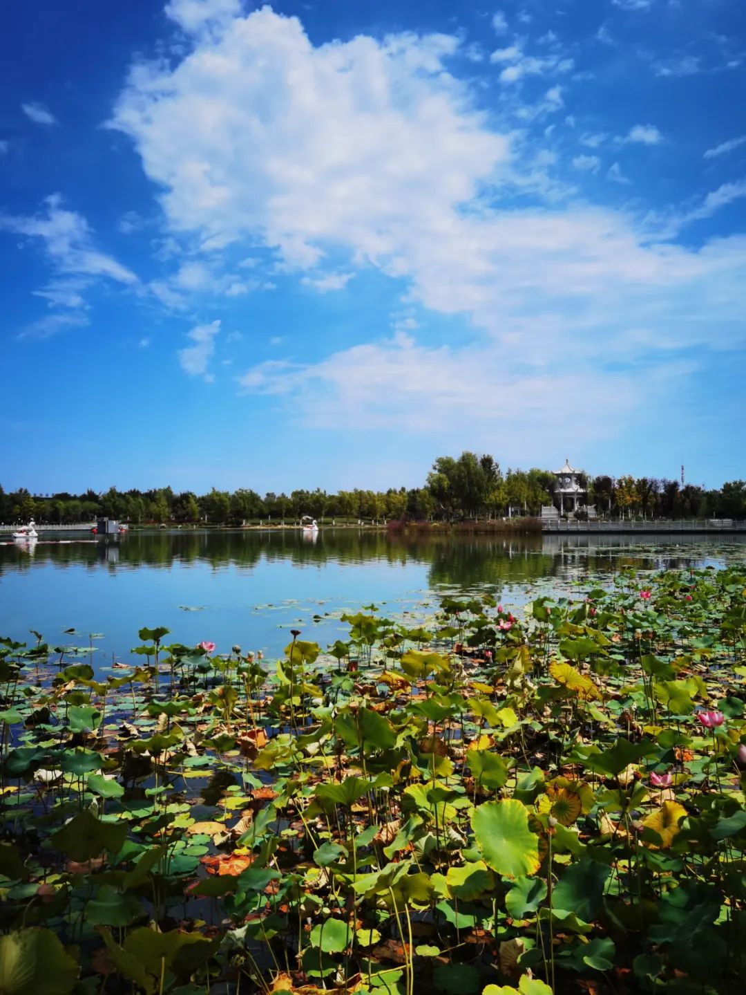 Beautiful Xinjiang - a city built in a park · Kekedala - iNEWS