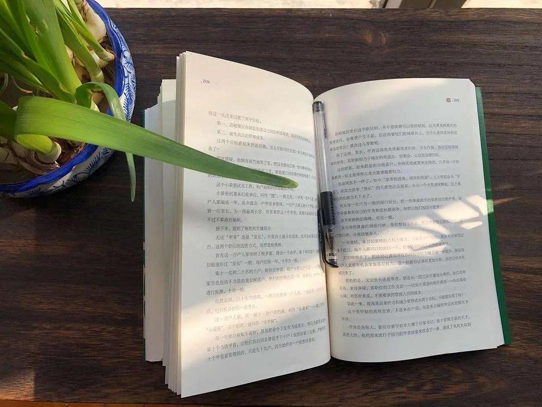 Rhyme of Books: Meet Reading, Meet Life - iNEWS