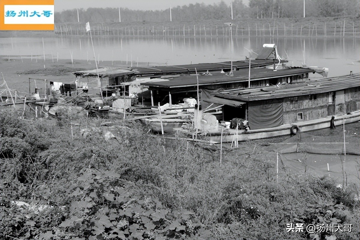 Yangzhou Yanhu Village: From "Fishing Flower Village" to "The Most ...