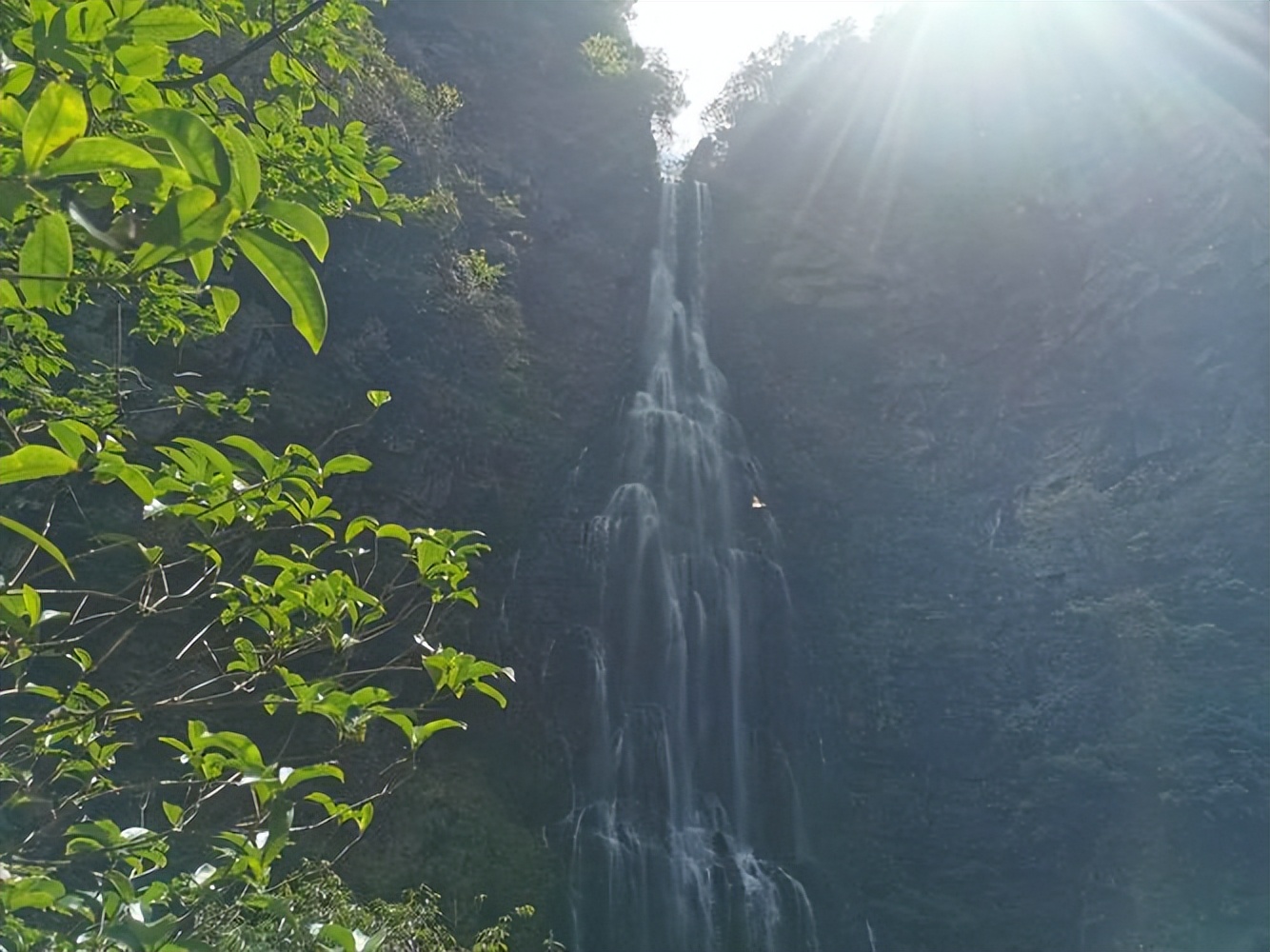 Jinggangshan Dashan Canyon hides the highest waterfall in Jinggangshan ...