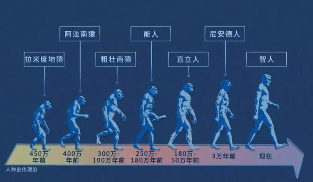 Scientist: Humans evolved from fish, and fossils are evidence to reveal ...