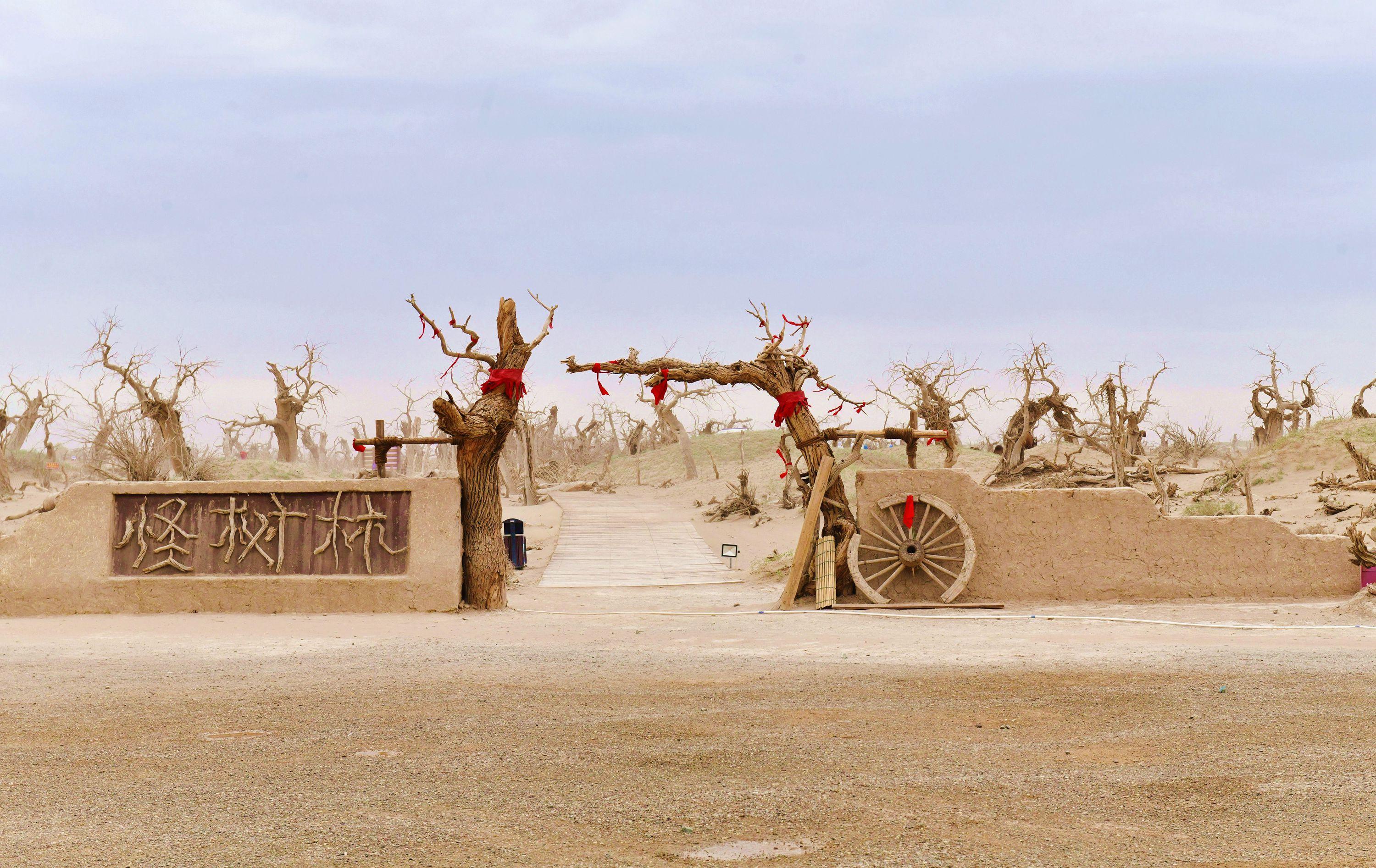 desert pearl - iMedia