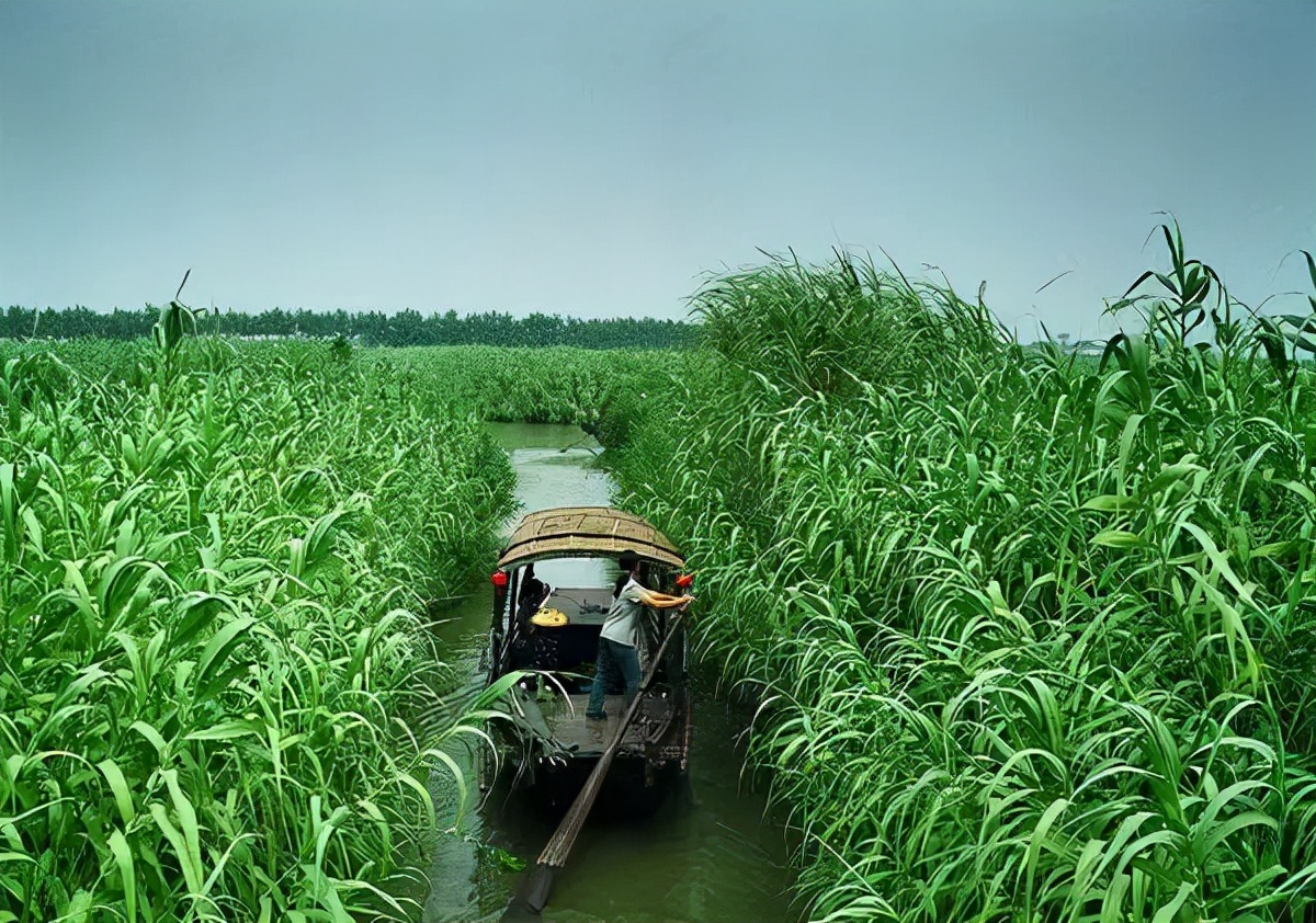 Shajiabang Town, Changshu, come here to explore the red footprints - iNEWS