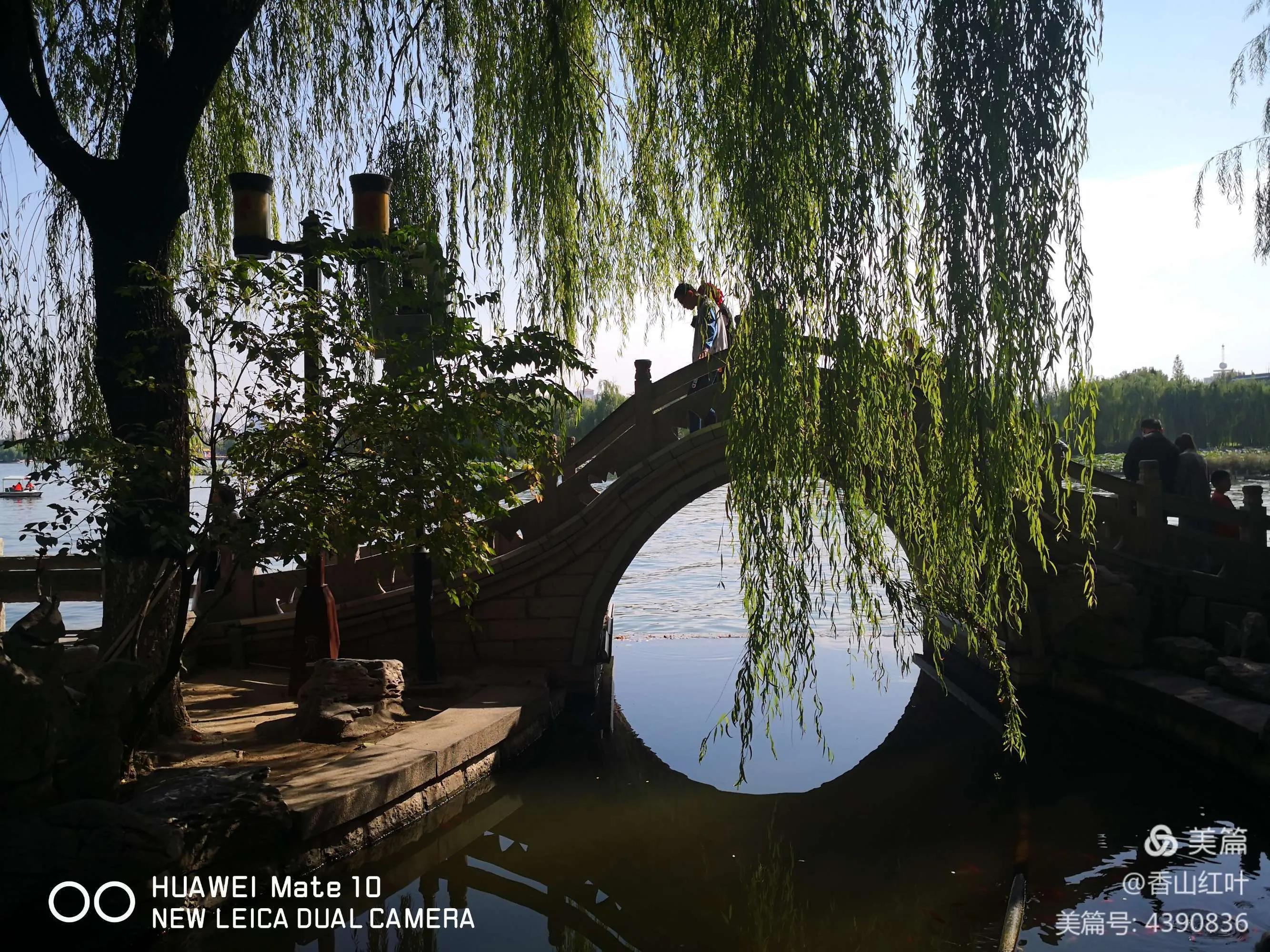 Autumn Tour to Daming Lake (Prose) - iNEWS