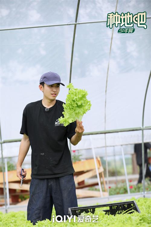 The next issue of "Let's Plant the Land" is exciting: Chen Shaoxi ...