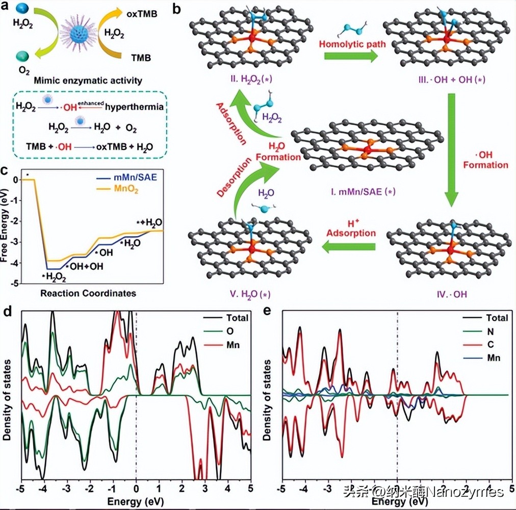 Self-supplying H2O2 single-atom iron nanozyme with radiation-enhanced ...