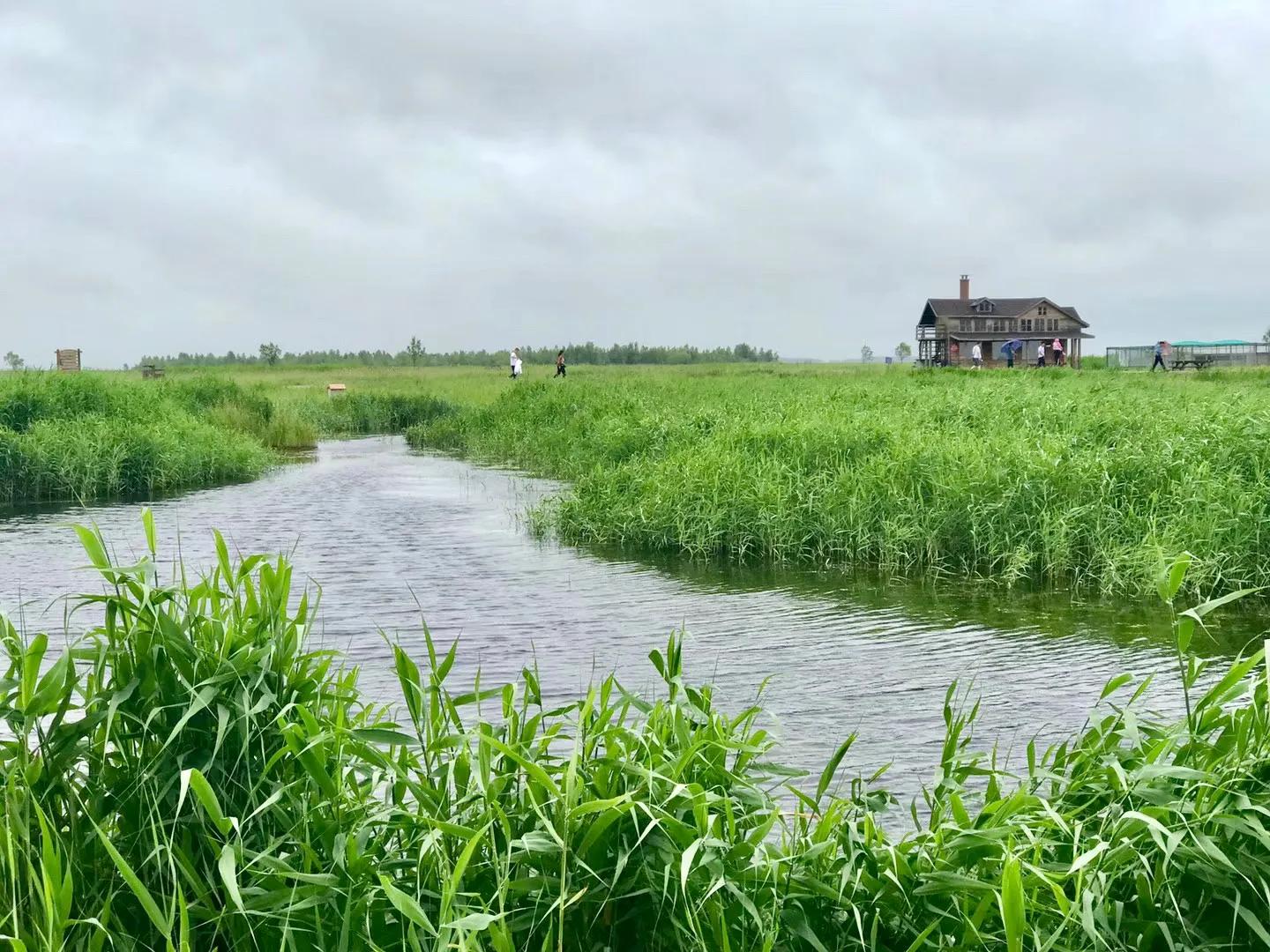 Journey to the North (1) - Zhalong Wetland - iNEWS