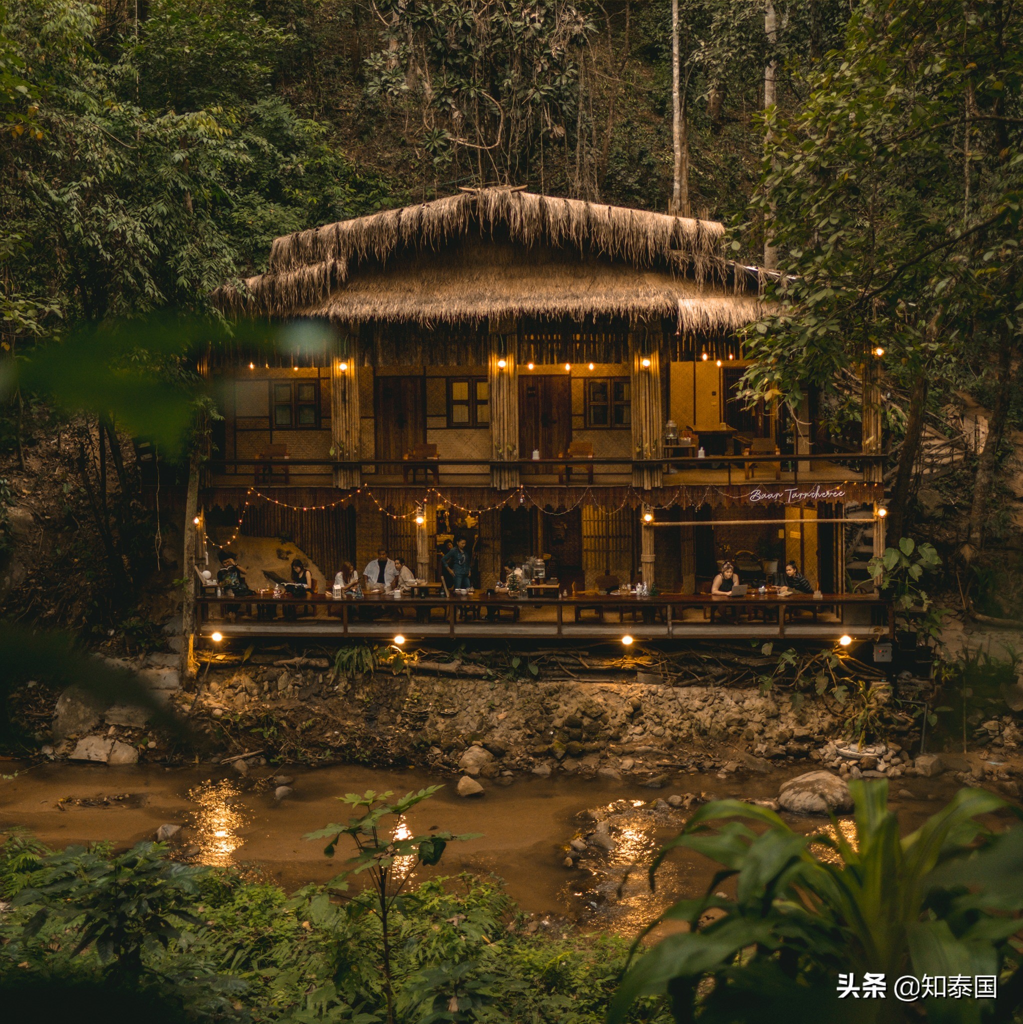 Take a slow trip!Check in Chiang Mai Forest Homestay - iNEWS