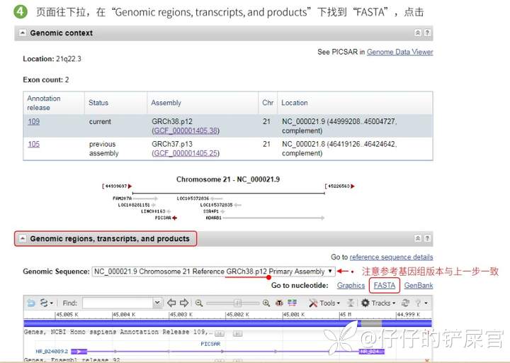 [Scientific Research Toolkit] Transcription Factor Prediction and ...