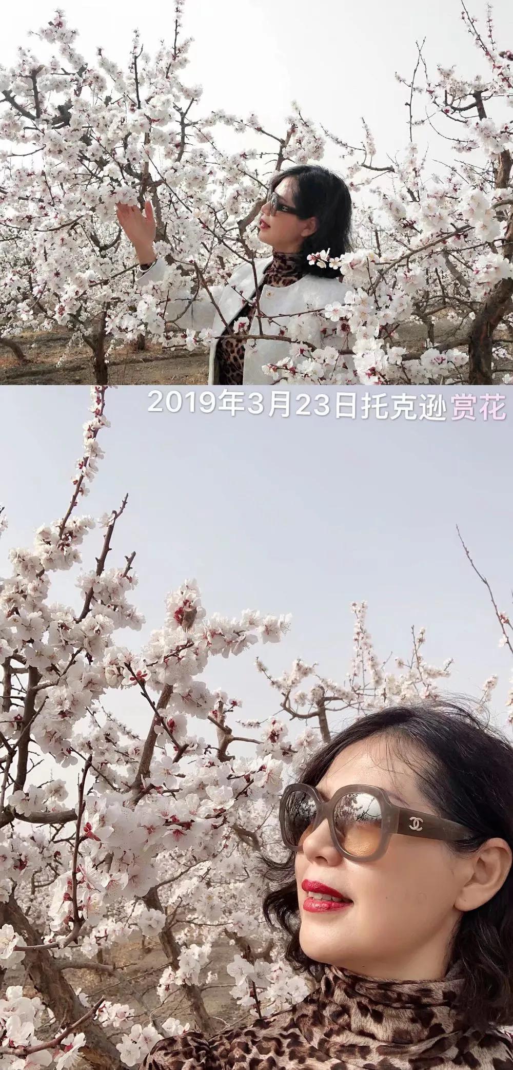Xinjiang apricot blossoms welcome spring, a hundred flowers bloom - iNEWS