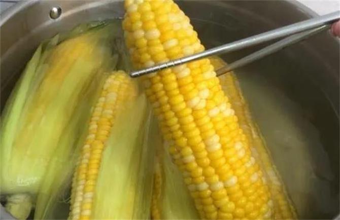 How long does it take fresh corn to cook? Teach you a few tips, all of ...