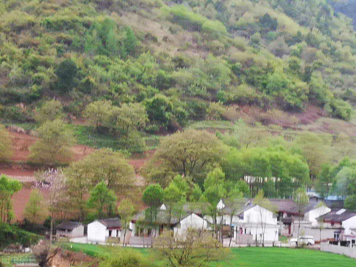 "Longnan Fu": I am the only one in Longnan, Longshang Jiangnan ...