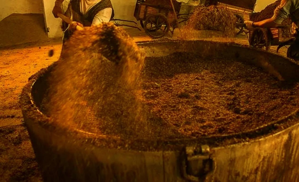 4 kinds of "word-of-mouth wine" brewed from pure grains, zero additive ...