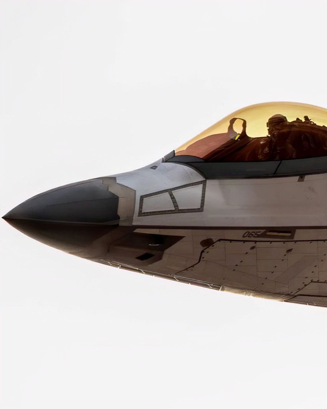 The F22 has a new skin and the fish scale armor has been upgraded. Why ...