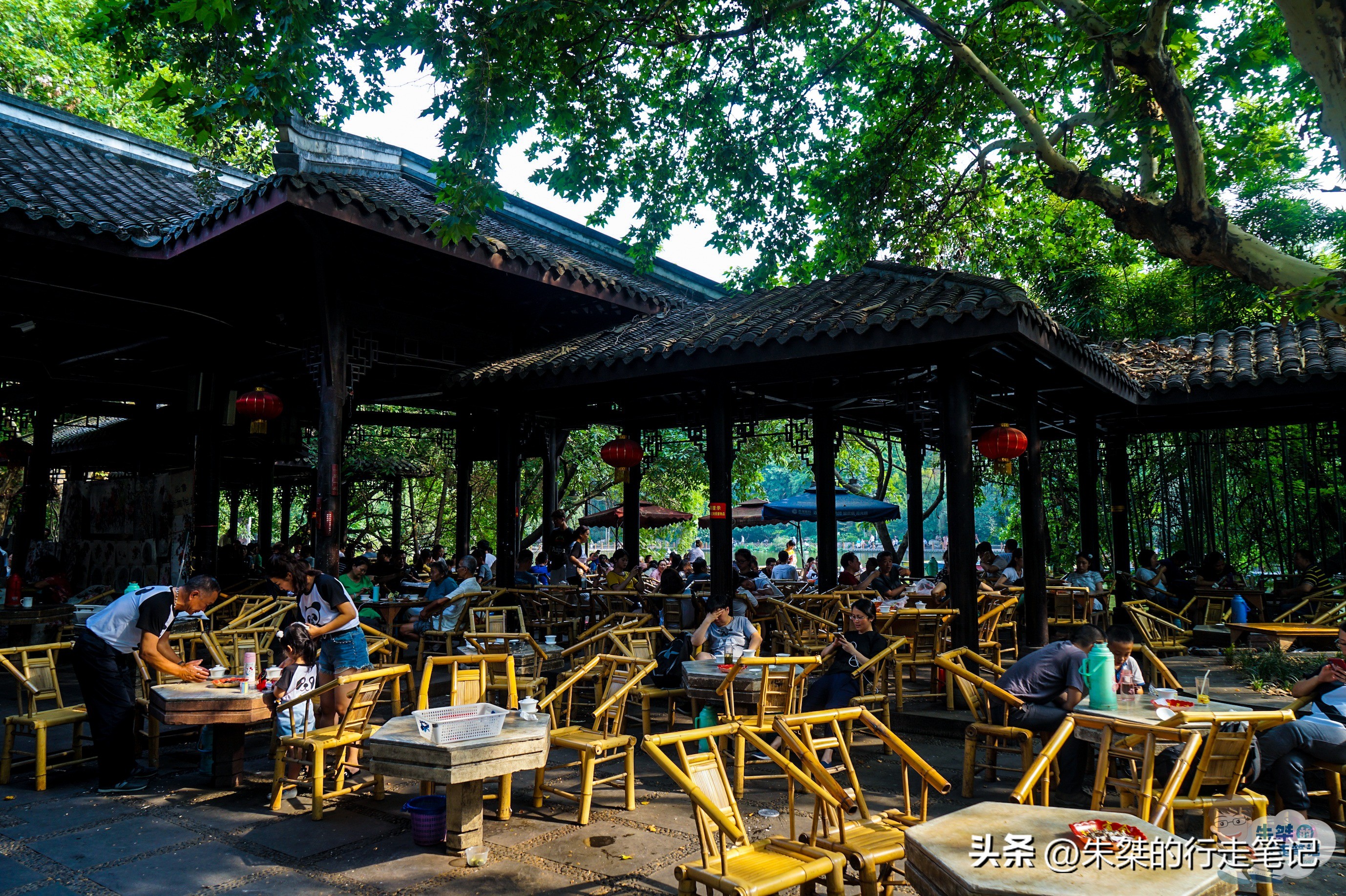 The most beautiful scenery in Chengdu at present, it only appears once ...