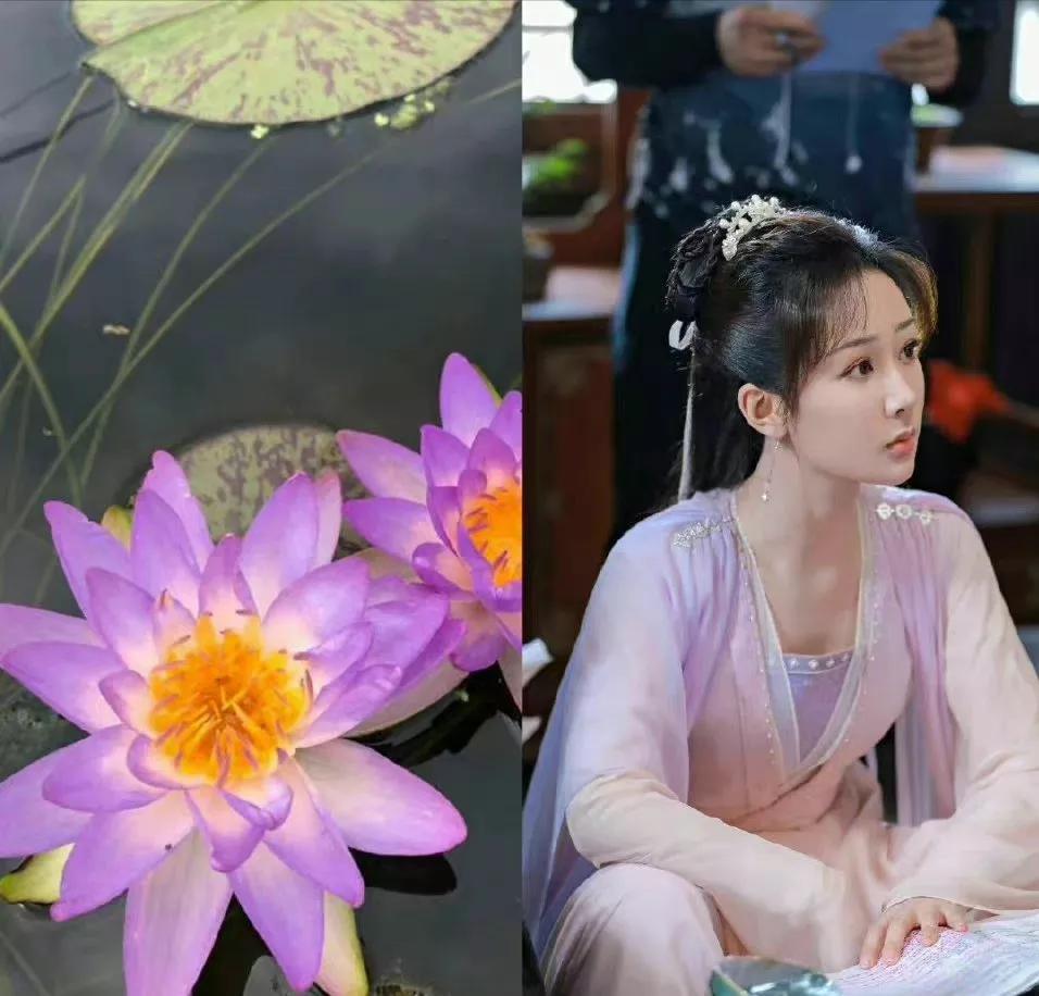 Yang Zi's "Agarwood is like crumbs, agarwood is heavy", Yan Dan's four ...