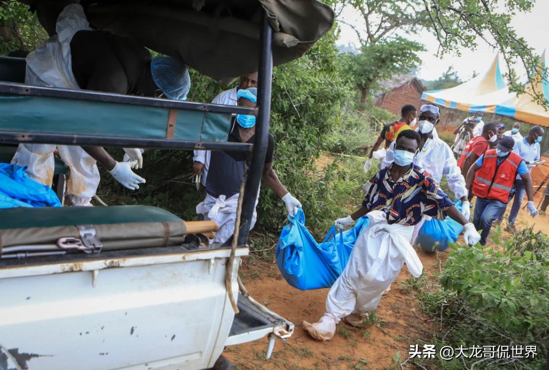 Tragedy happened in Africa, 73 people starved to death because they ...