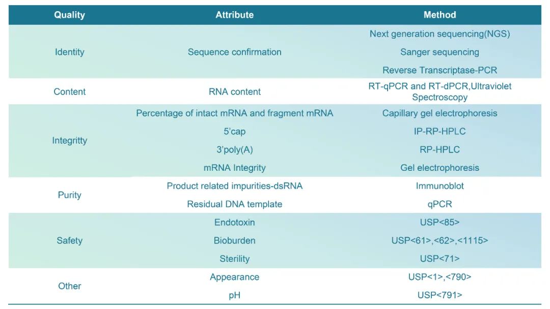 The whole process of mRNA vaccine quality risk analysis and coping ...