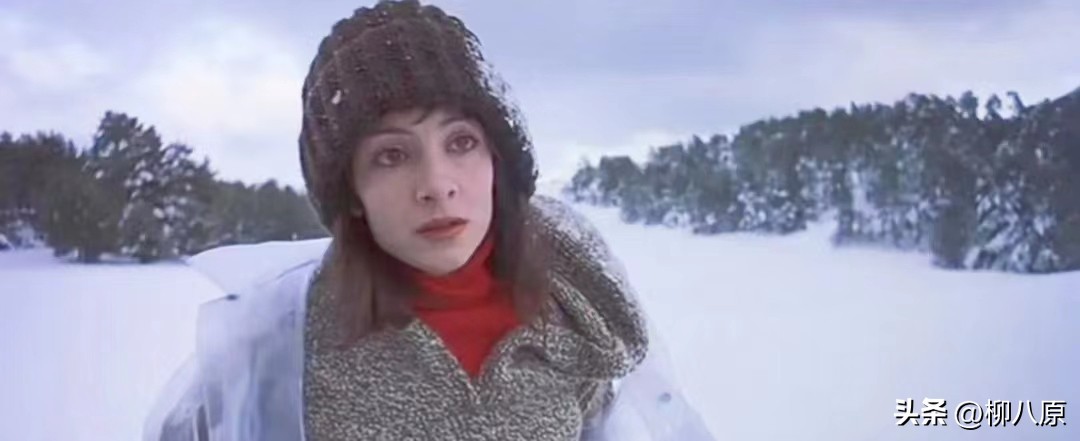 What is the purpose of the dual-perspective narrative in the European ...