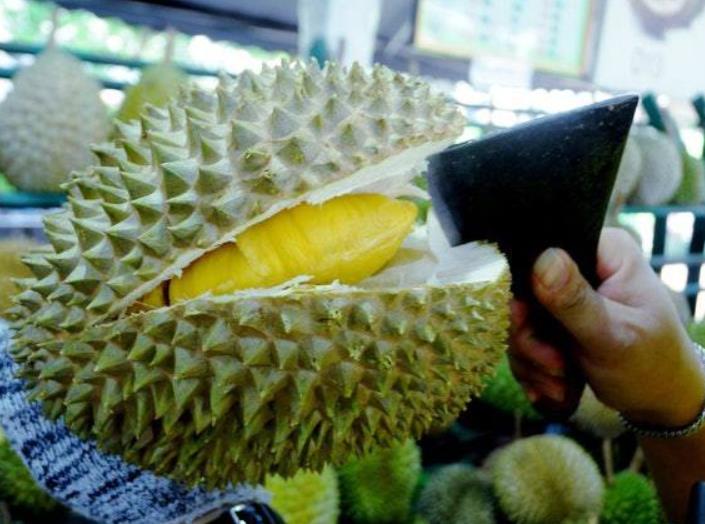 Durian selection strategy: teach you how to find the sweetest durian ...