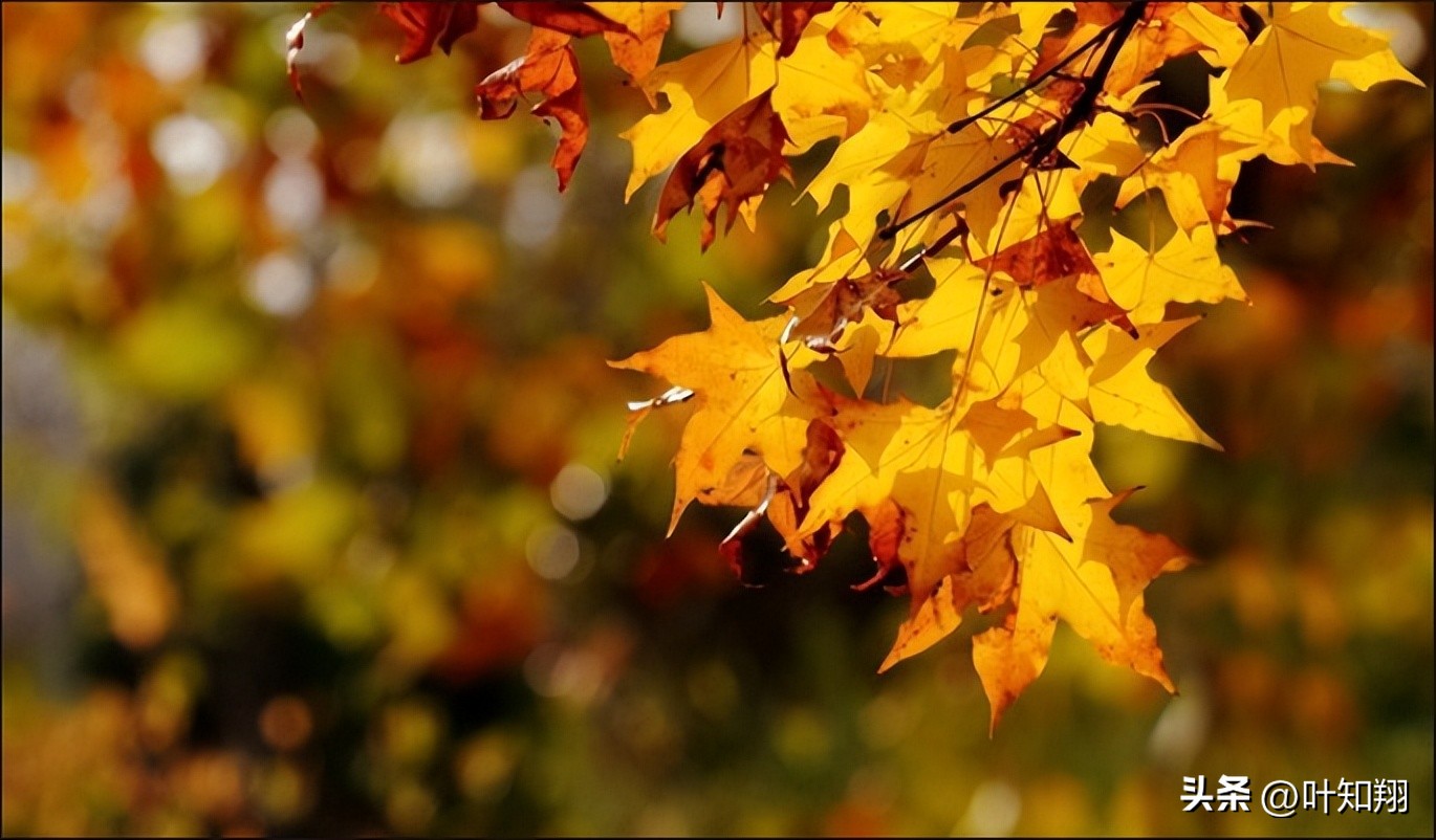 The gentleman is cautious, and the years end - iNEWS