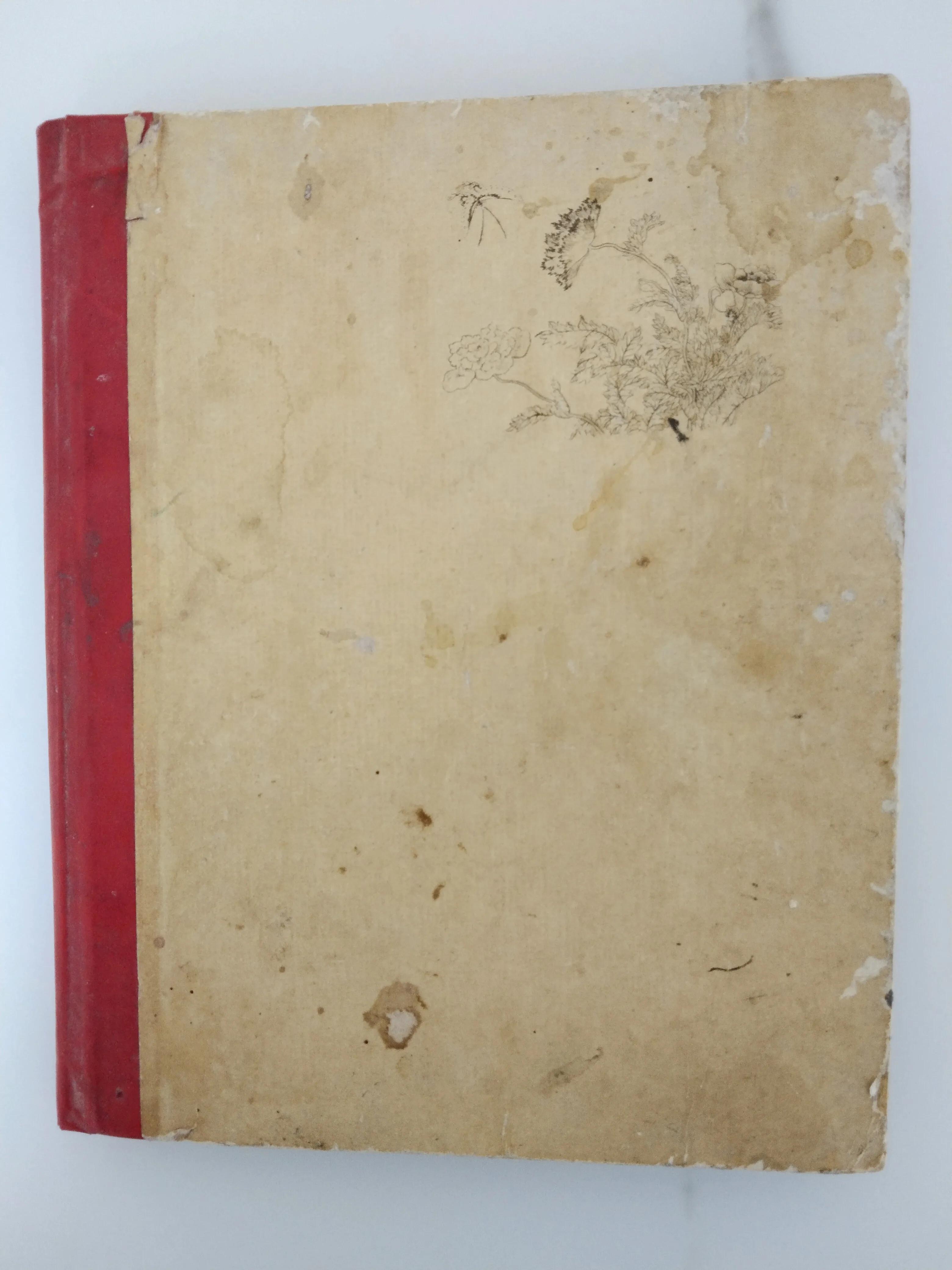 celebrity stickers - iNEWS