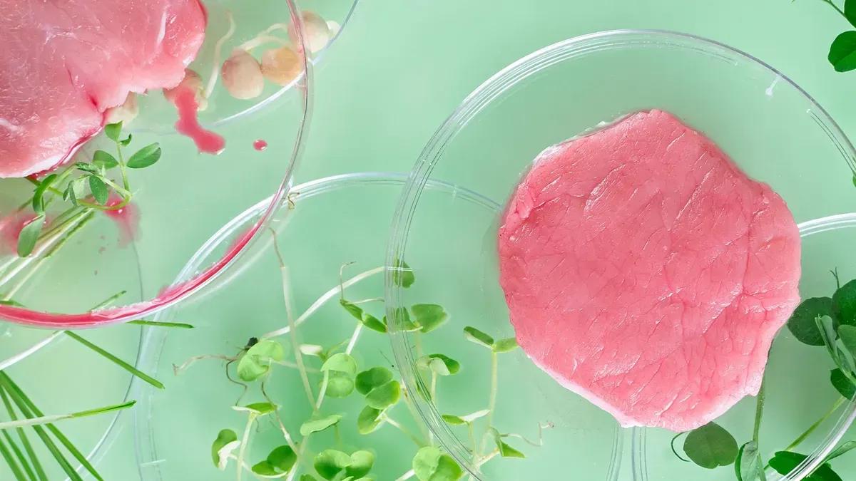 Lab-grown meat may soon be a reality in restaurants - iMedia