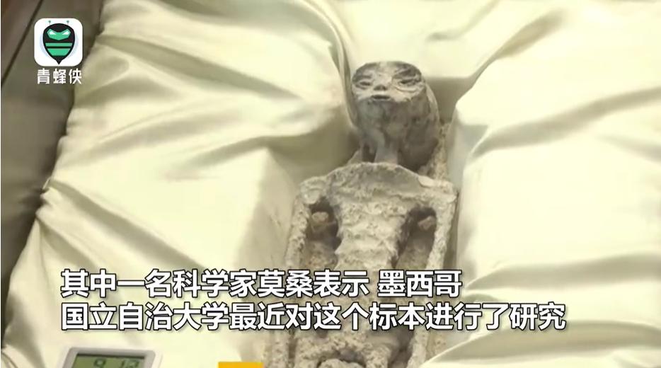 "Alien" fossils discovered in Mexico's Congress? Experts question ...