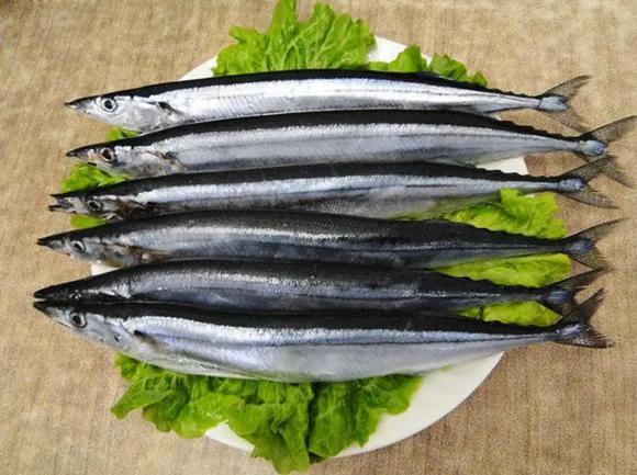 Top 10 Tastiest Sea Fish - iMedia