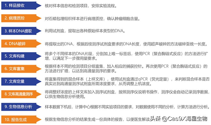 HyCyte® Fusion Gene Assay and RNA Standards - iMedia