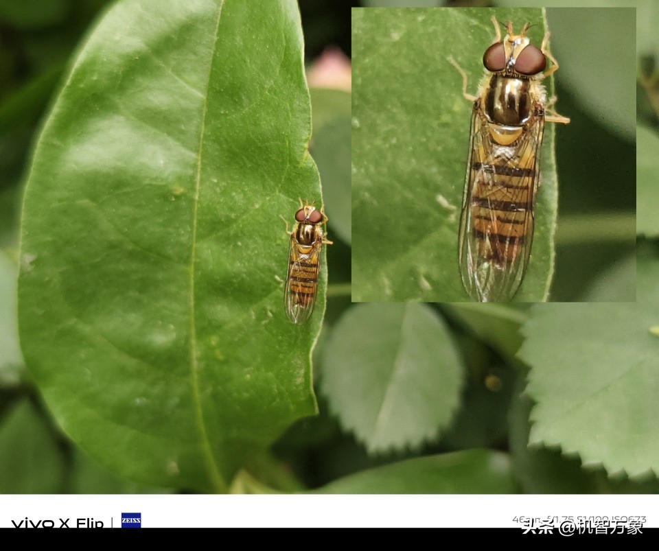 50-megapixel Zeiss outsole OIS main camera blessing vivo X Flip small ...