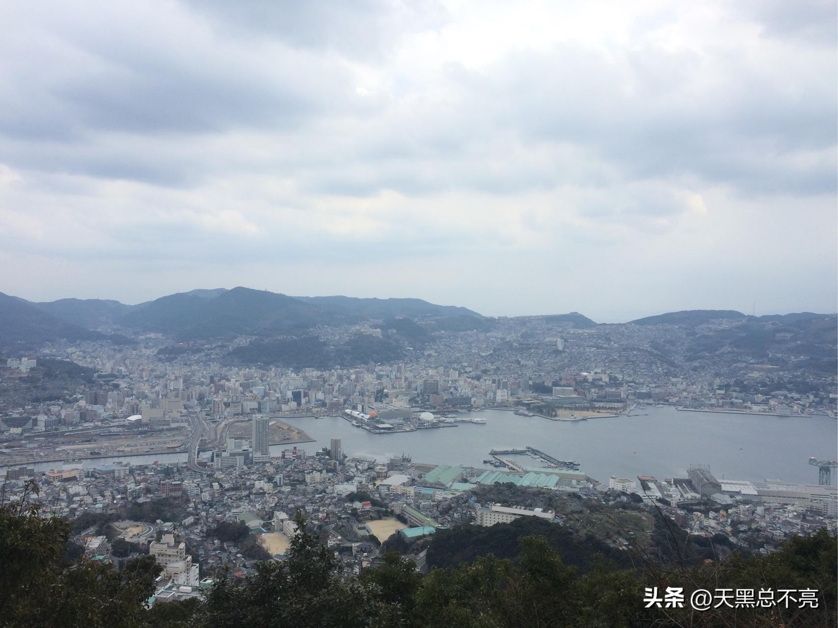 Nuclear waste water into the sea: Godzilla-style mutation of marine ...