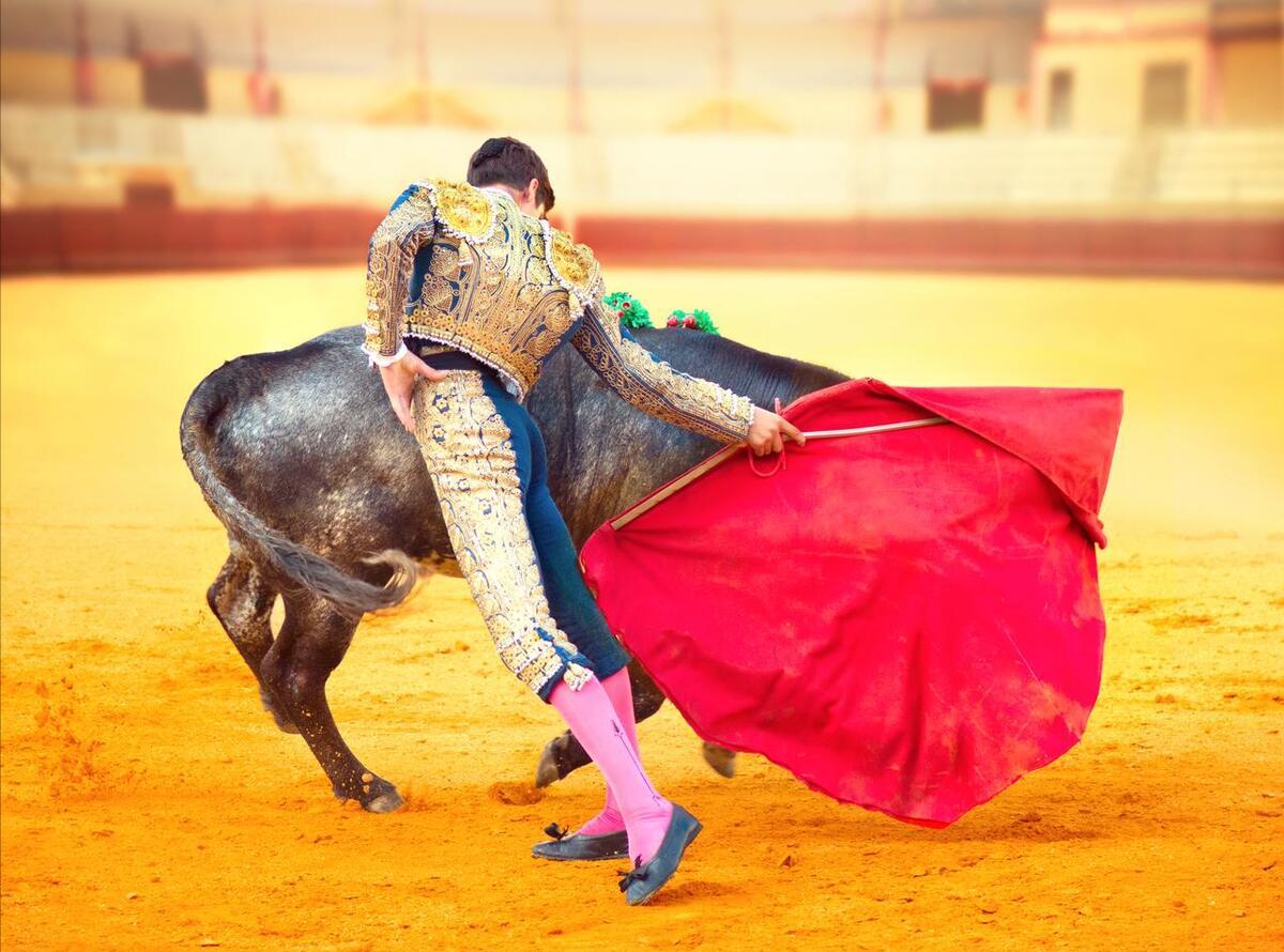 Bullfighting - iNEWS