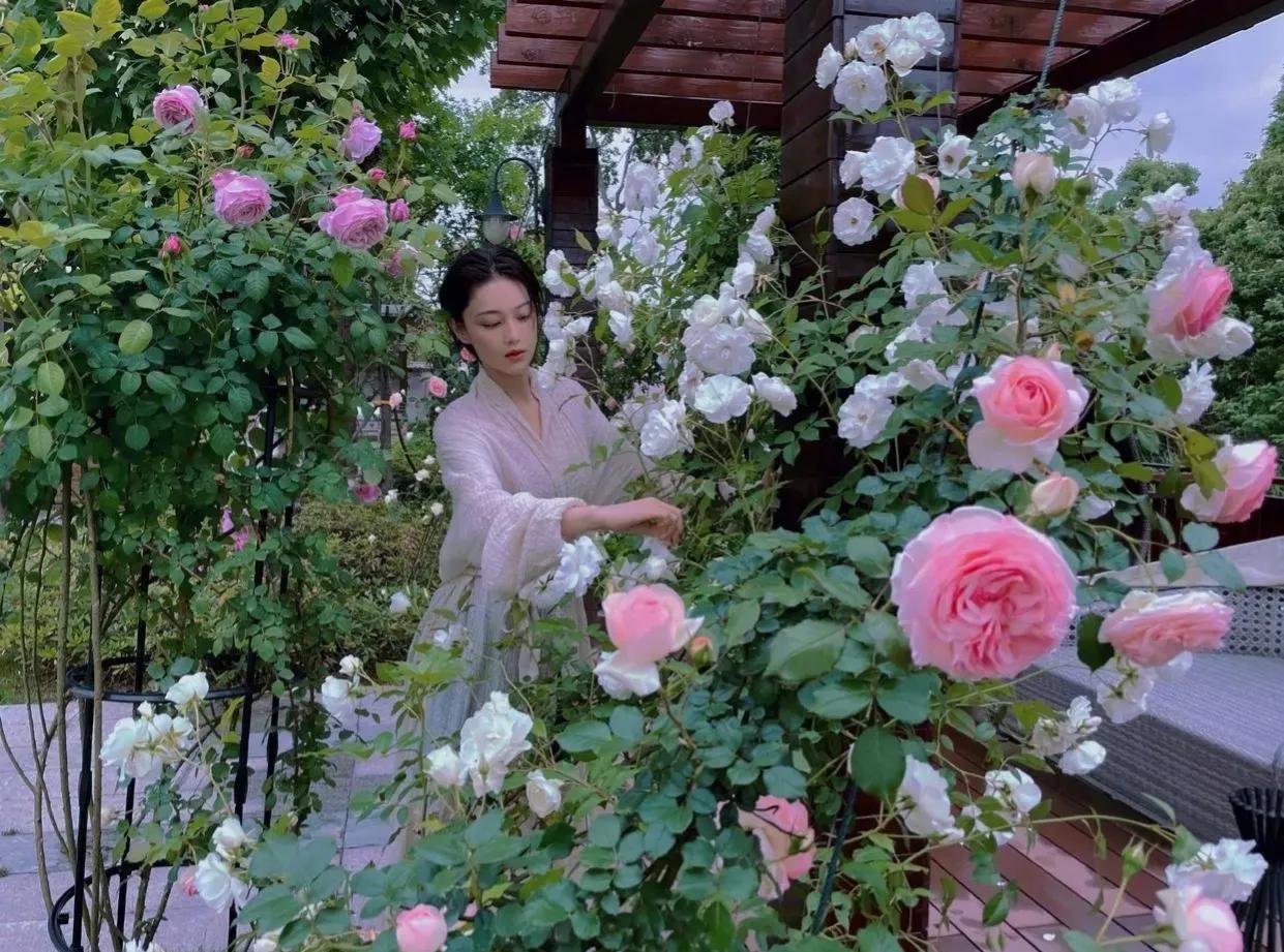 Zhang Yuqi, Wang Junkai, Zhang Xinyu, Lin Gengxin, Luo Yunxi, Zhao ...