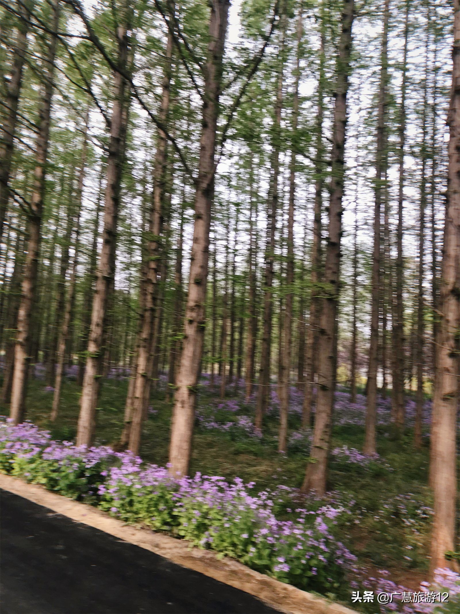 Popular tourist attractions in Rizhao, introduction of five exciting ...