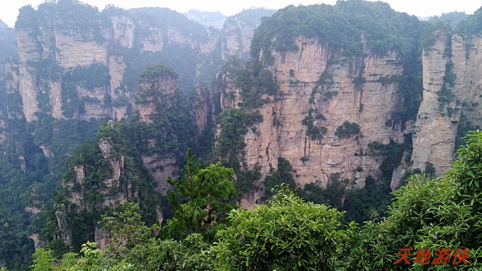 Zhangjiajie Wulingyuan Travel Notes 3: Climb the Ecstasy Terrace to ...