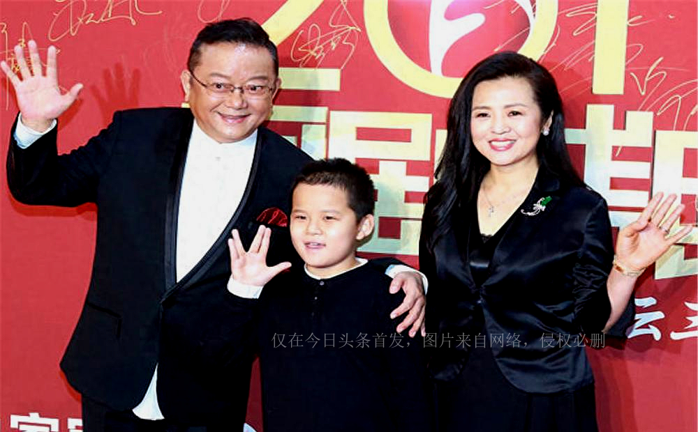 Wang Gang and Sun Honglei were exposed to immigrate abroad? Don't forget Ding Haifeng's lessons ...